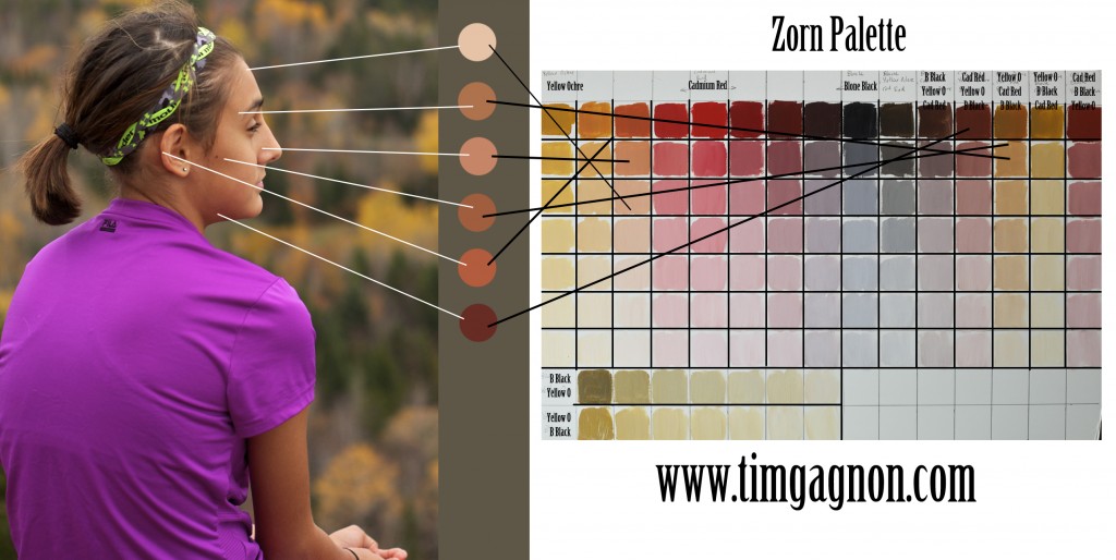 Making the color palette for skin tones a bit easier… | Tim Gagnon Studio