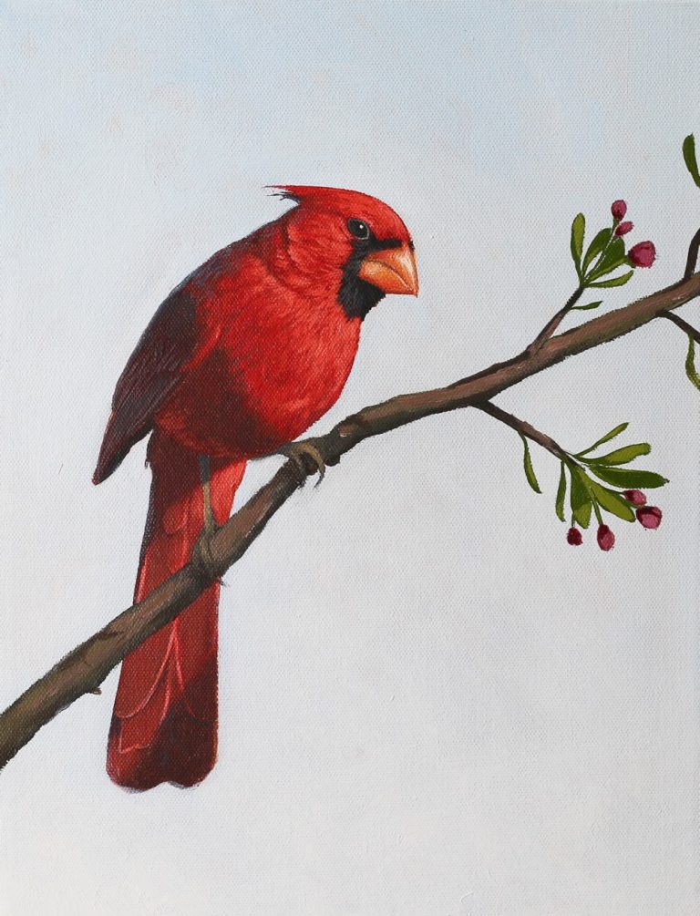 Cardinal On An Apple Branch - An Acrylic ONLINE Painting Lesson | Tim ...