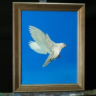 Dove in Acrylic - Online Painting Lesson | Tim Gagnon Studio